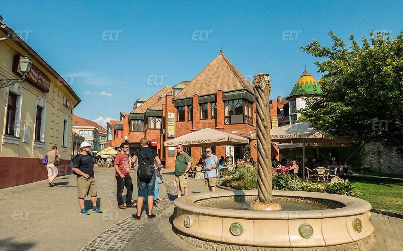 Pecs Üniversitesi Macarca Kursu