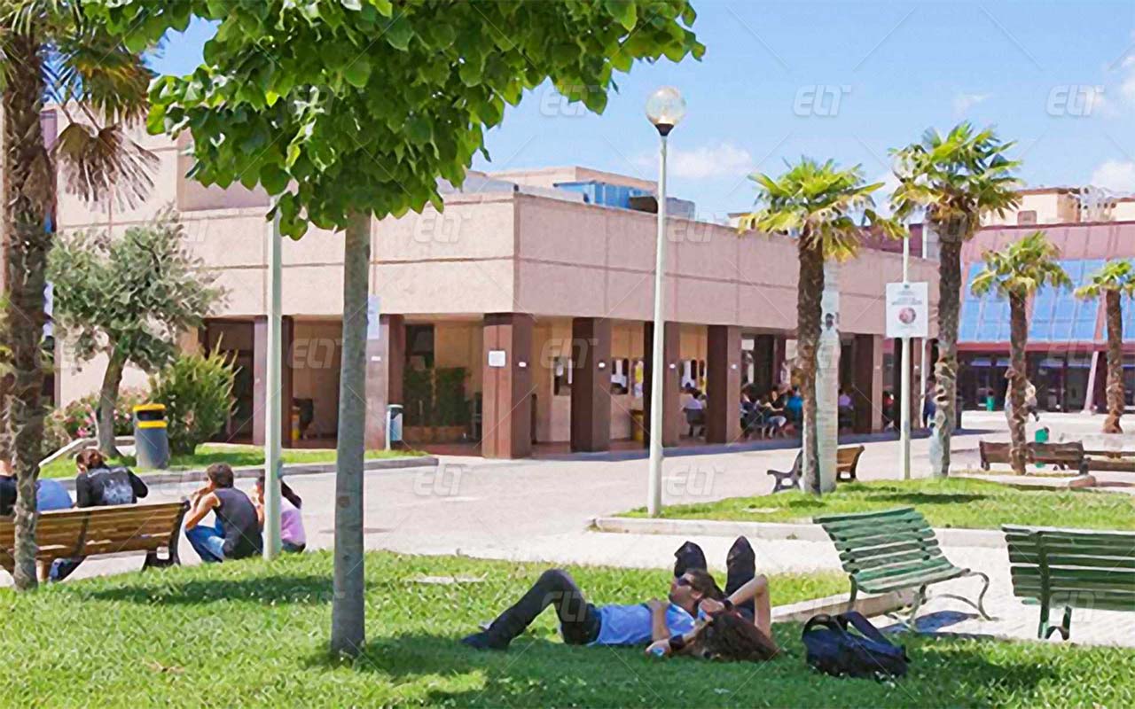 Roma Tor Vergata Üniversitesi